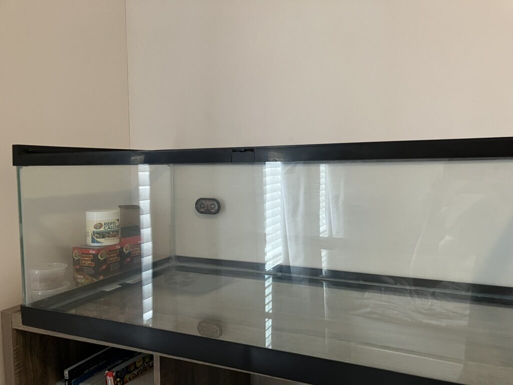 Leopard Gecko and supplies | Reptiles | KSL Classifieds