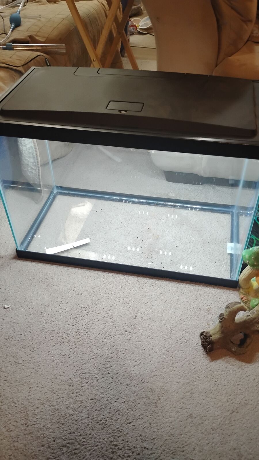 Used 20 Gallon Fish Tank with Supplies and NIB 20 gallon stand OBO ...