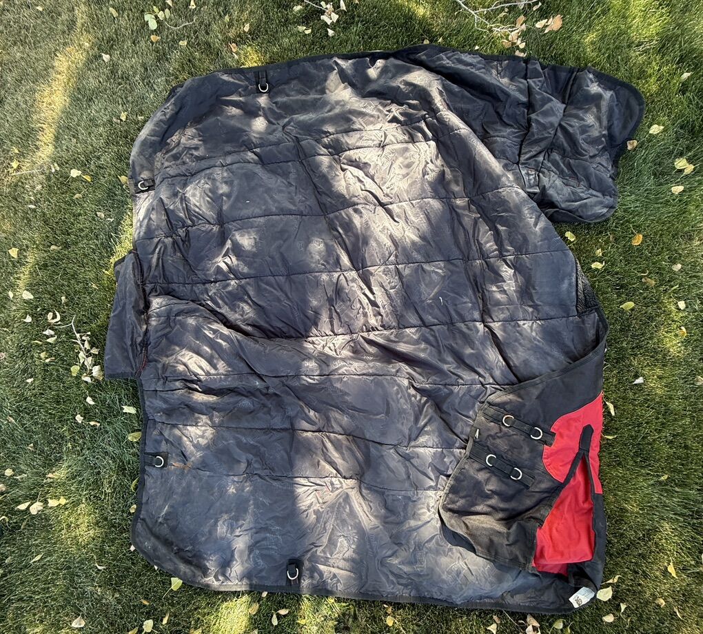Horse Blanket - 81 Inch | Horses, Saddles and Tack | KSL Classifieds