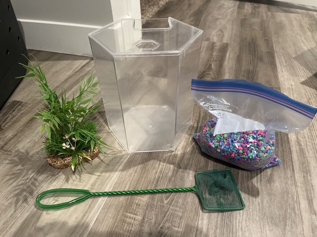 1 Gallon Hexagon Fish Bowl With Rocks And Plant | Fish | KSL Classifieds