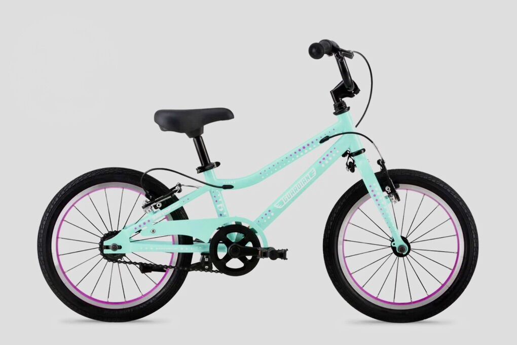 Guardian 16 Inch Bike In Mint Green | Kids Bikes | KSL Classifieds