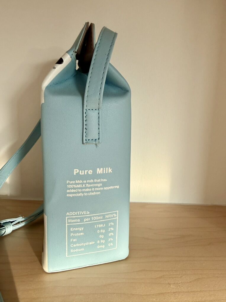 Milk Carton Bag | Luggage & Bags | KSL Classifieds