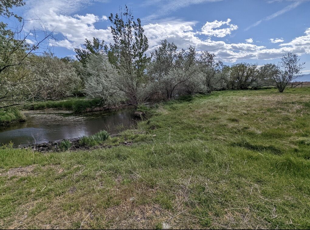 Come board with us at River Run Pasture! | Horses | KSL Classifieds